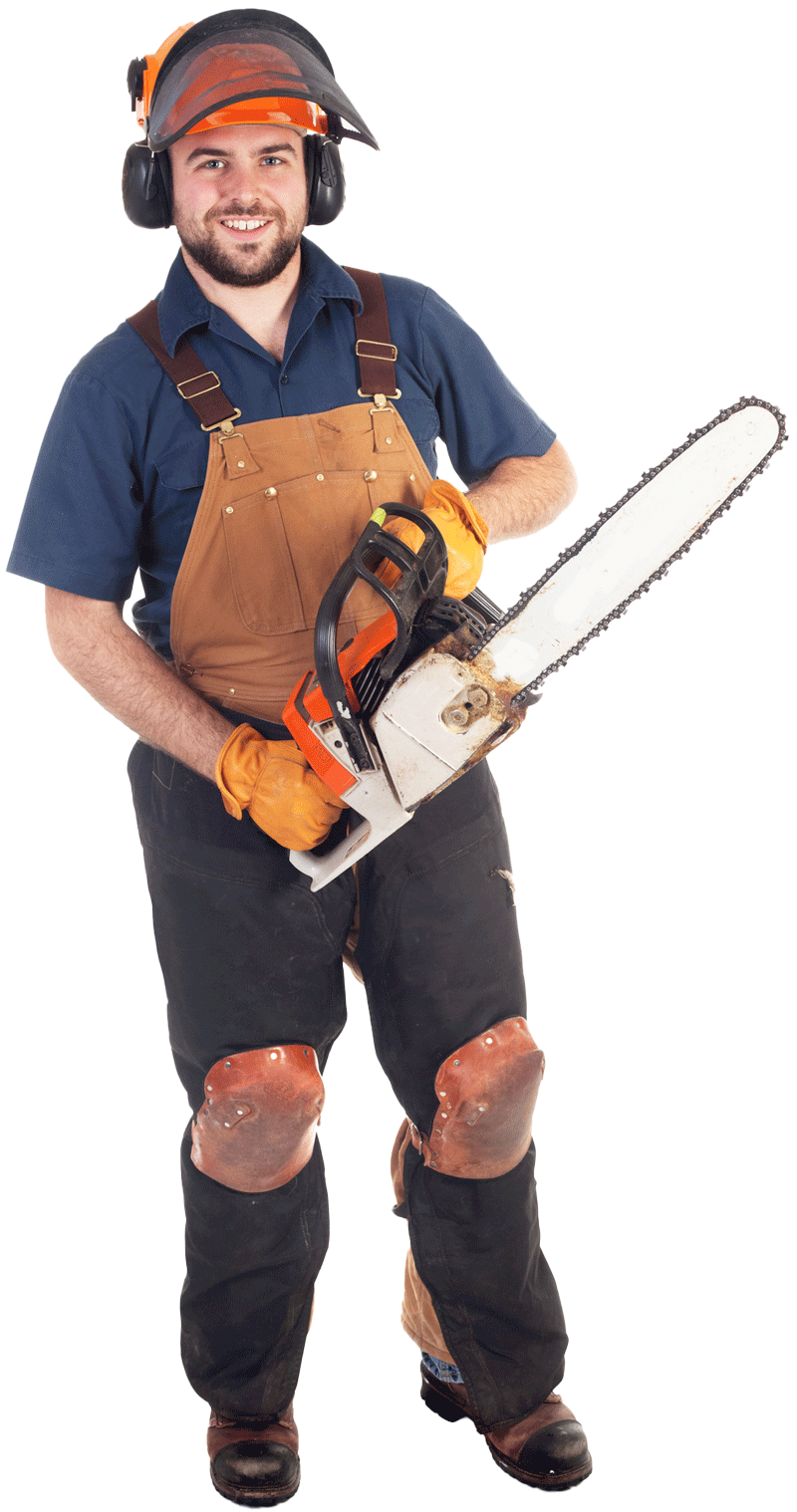 Outstanding Tree Service in Lyman, SC, 29365.